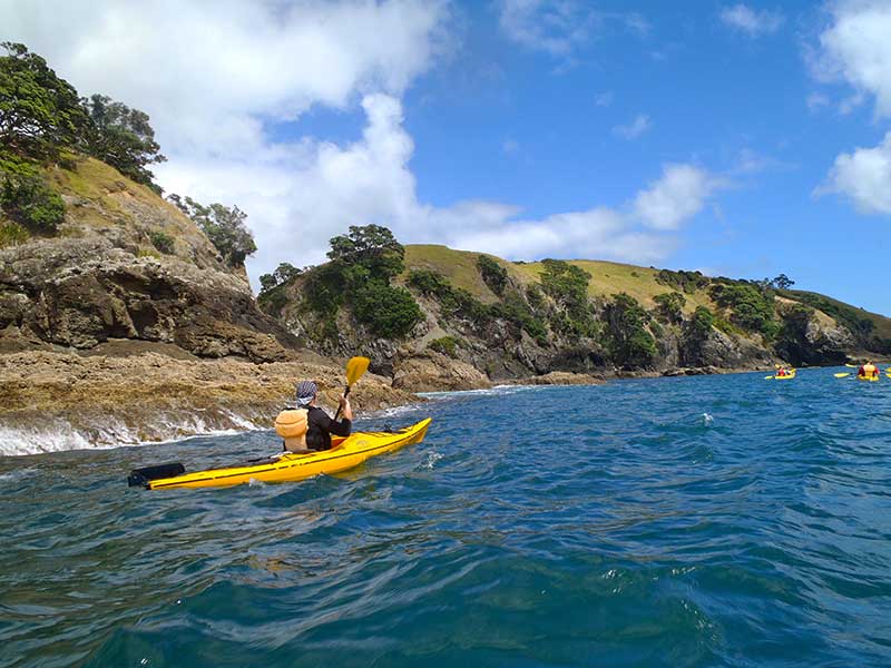 Photo Gallery - Sea Kayaking in NZ