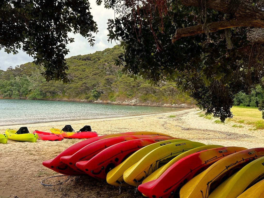 Kayaking - Bay of Islands Kayaking
